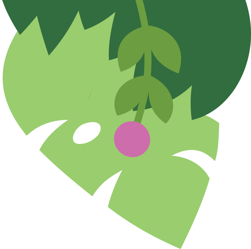 We Wonder Company B.V.